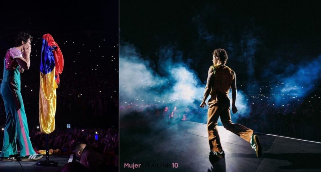 Desmayos y diversión: Así se han vivido los conciertos de Harry Styles ...